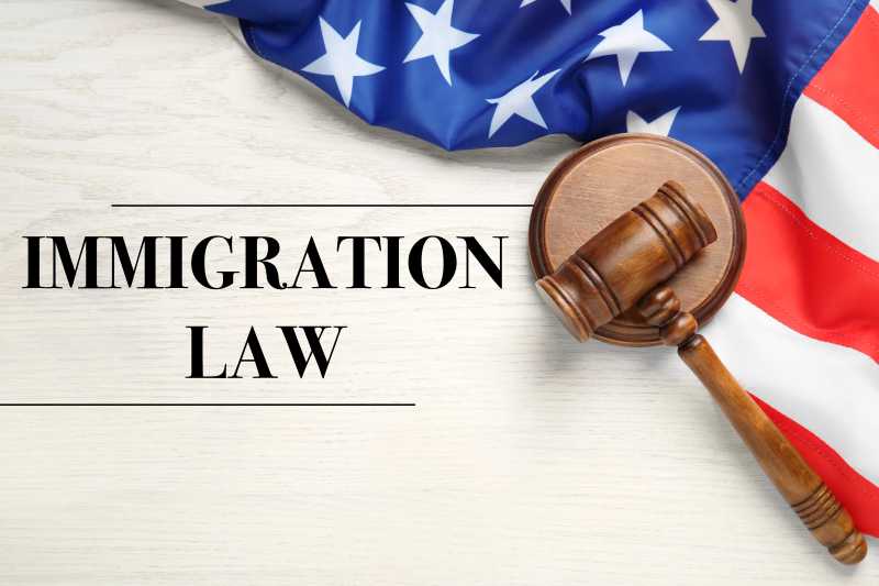 Immigration Appeals: Guide Through Every Stage